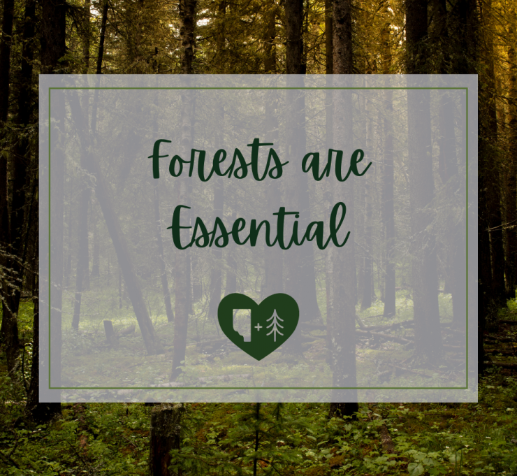 Home - Alberta Forest Products Association