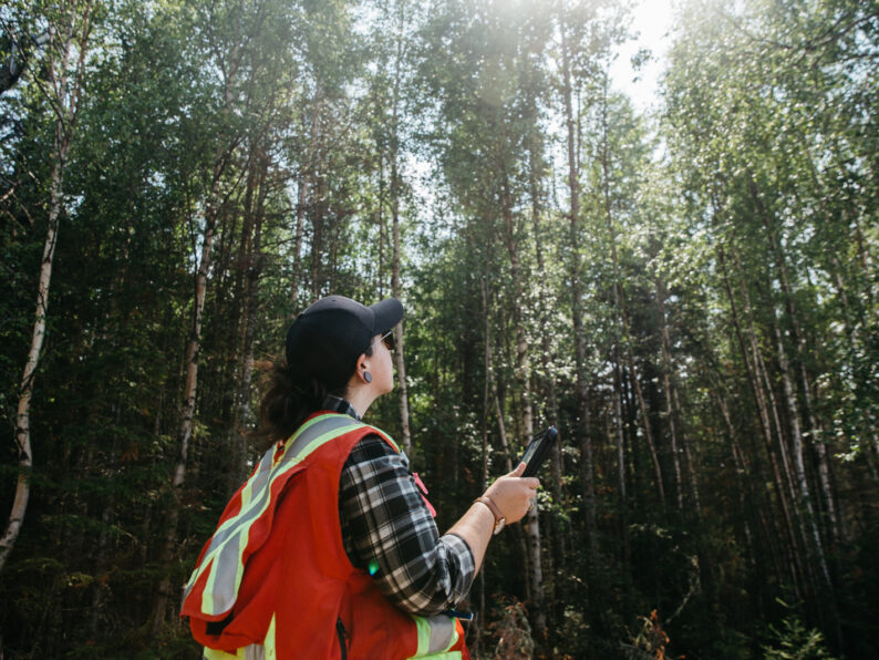 Alberta Forestry: a Pillar of the Provincial Economy - AFPA